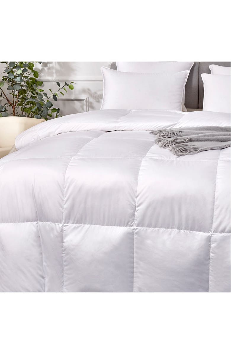 BLUE RIDGE HOME FASHIONS Scott Living Extra Warmth Down Fiber Comforter ...