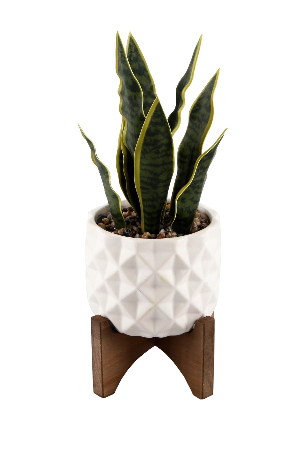 FLORA BUNDA 12.5" Snake Plant in Ceramic Pot on Stand | Nordstromrack