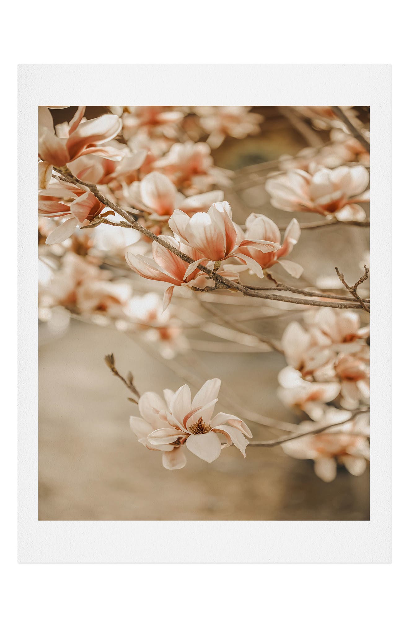 Deny Designs Monika Strigel Magnolia Peach Tree Art Print | Nordstromrack