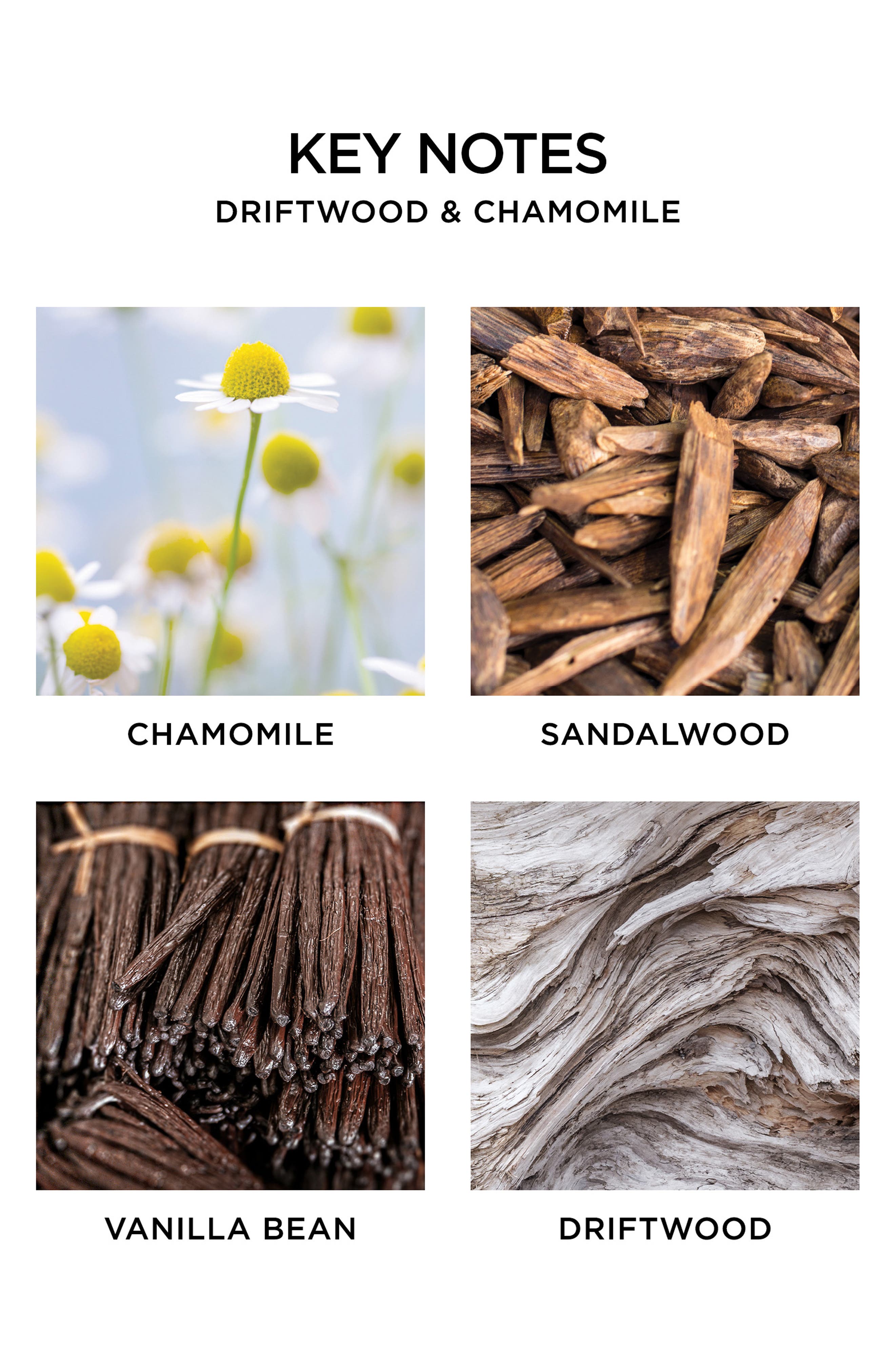 NEST New York Drfitwood & Chamomile Room & Linen Spray | Nordstromrack