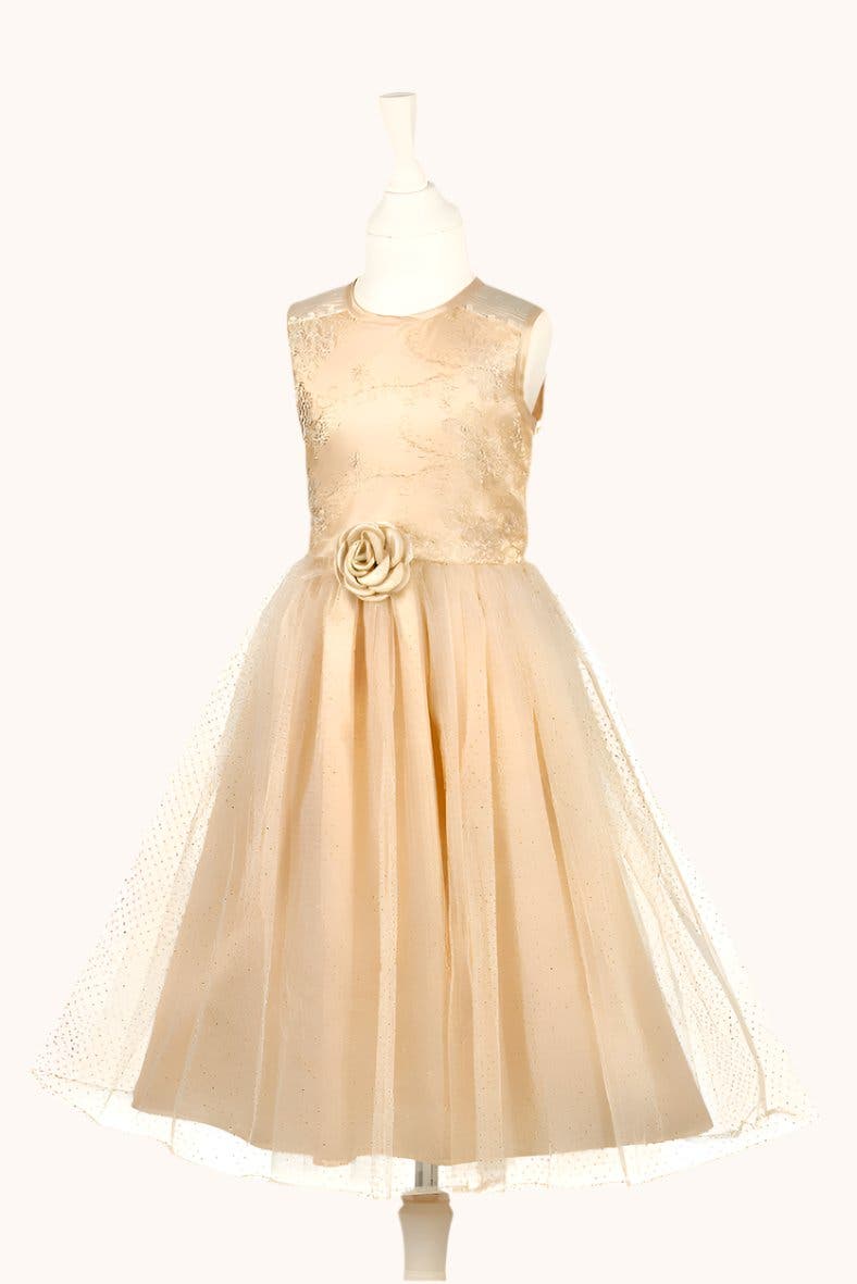 Noraline Fancy Dress | Nordstrom
