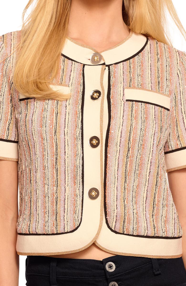 Ramy Brook Sterling Sequin Stripe Crop Jacket | Nordstromrack