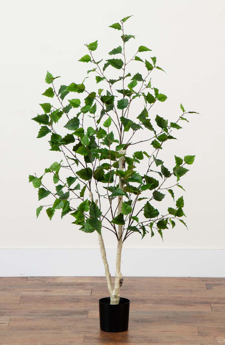 NEARLY NATURAL Artificial Birch Tree | Nordstromrack
