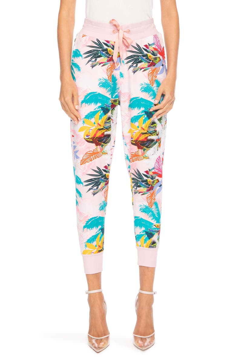 Robert Graham Mia Stretch Cotton Joggers | Nordstromrack