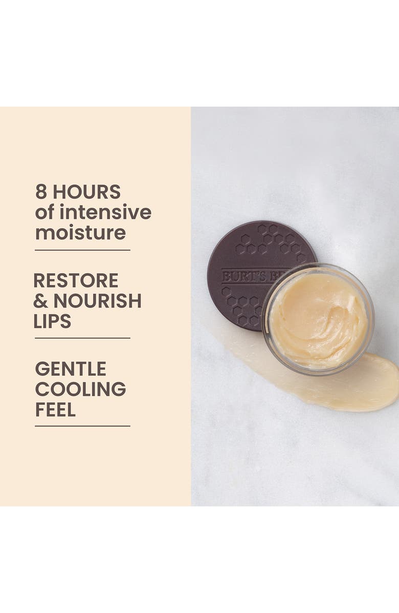 Burt's Bees Overnight Lip Treatment for Dry Lips | Nordstromrack