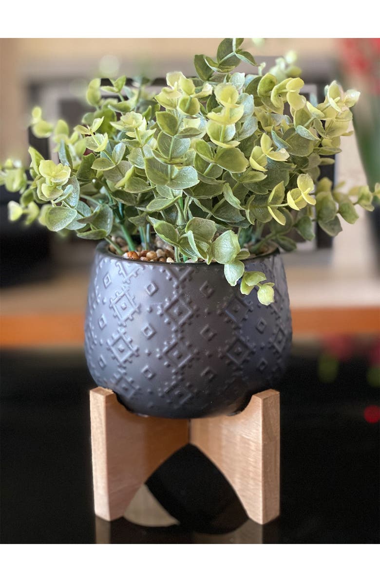 FLORA BUNDA Eucalyptus in 5" Matte Black Ceramic Pot on Wood Stand ...