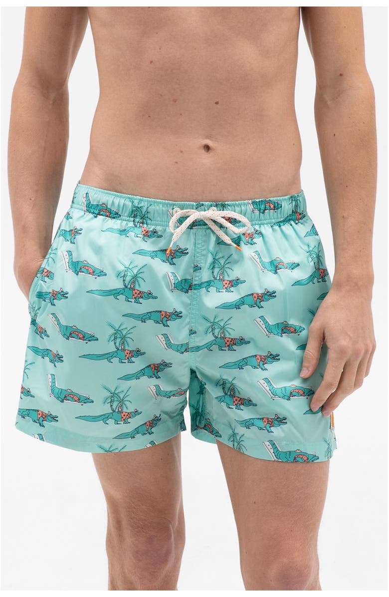 ambsn Lounge Lizard Board Shorts | Nordstromrack