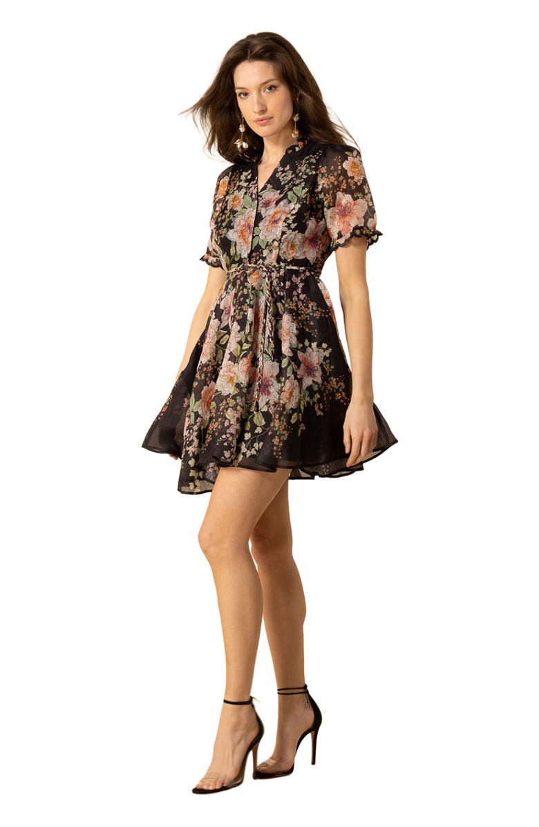 Hale Bob Haley Organza Dress Short | Nordstrom