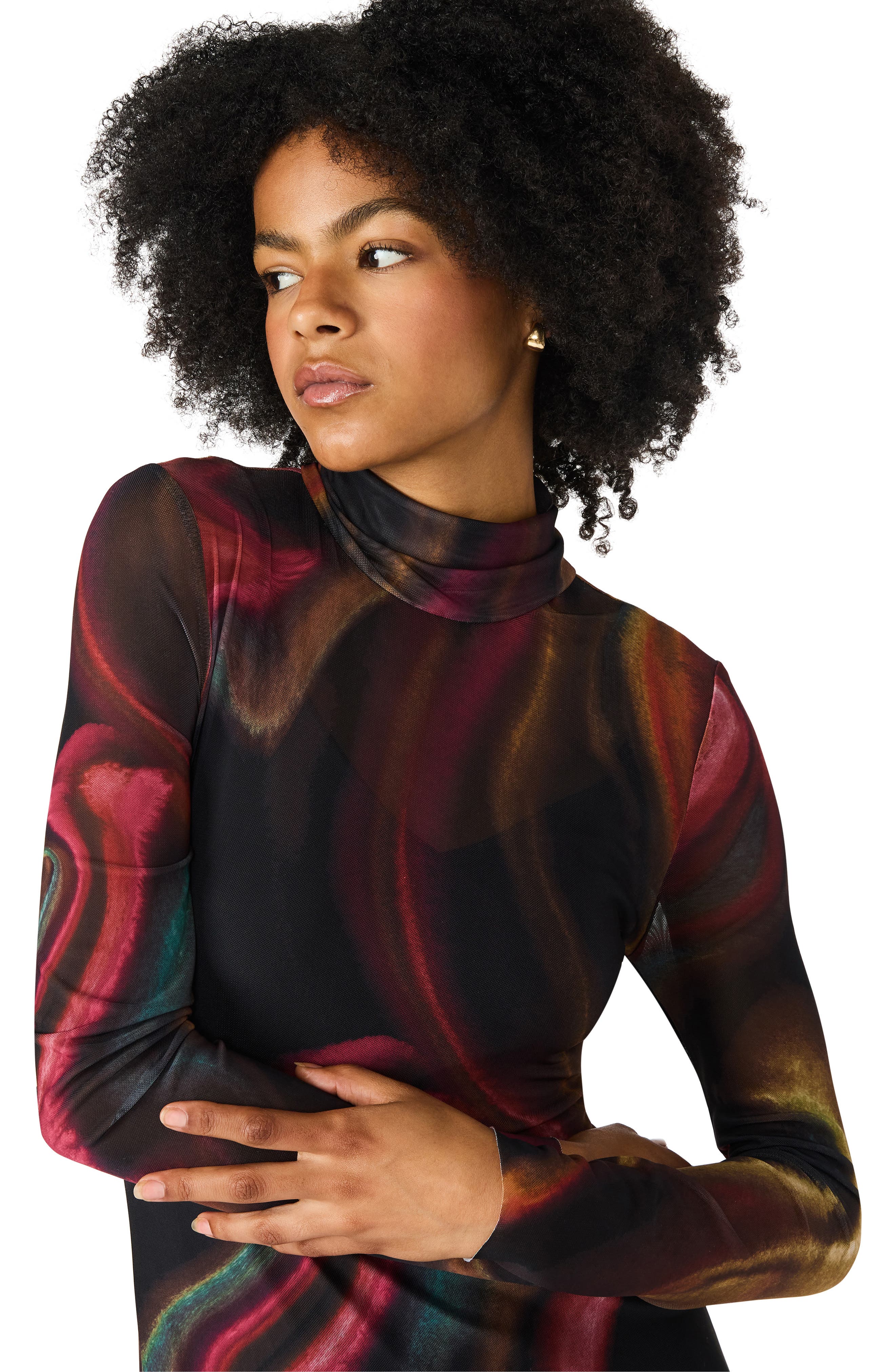 Steve Madden Vivara Printed Long Sleeve Mesh Maxi Dress | Nordstrom