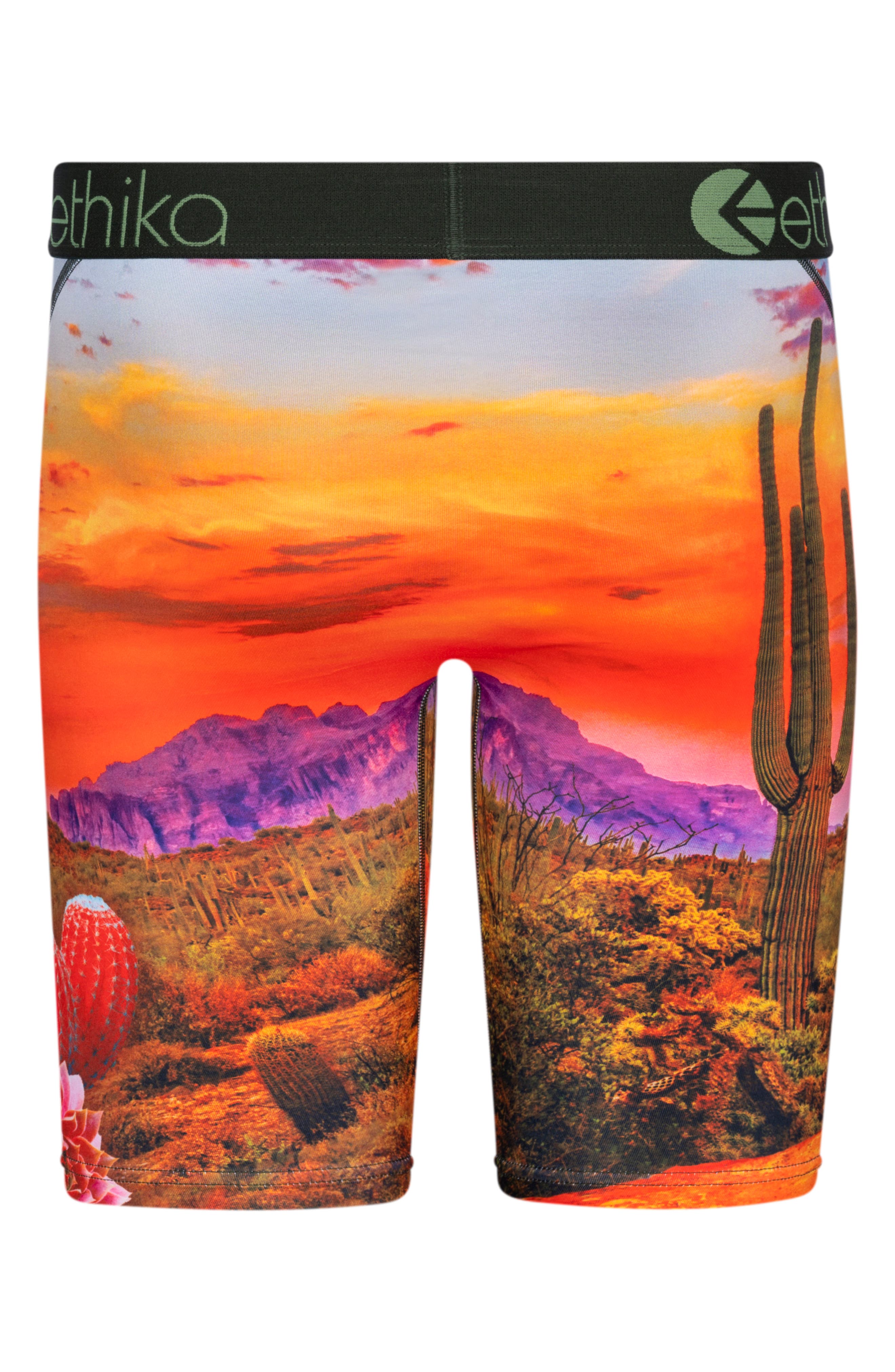 Ethika Kids' Desert Dog Boxer Briefs | Nordstrom