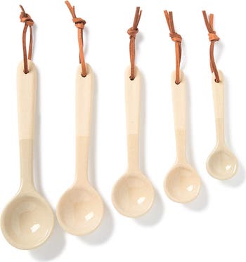 ROOST Safi 5-Piece Stoneware Spoon Set | Nordstromrack