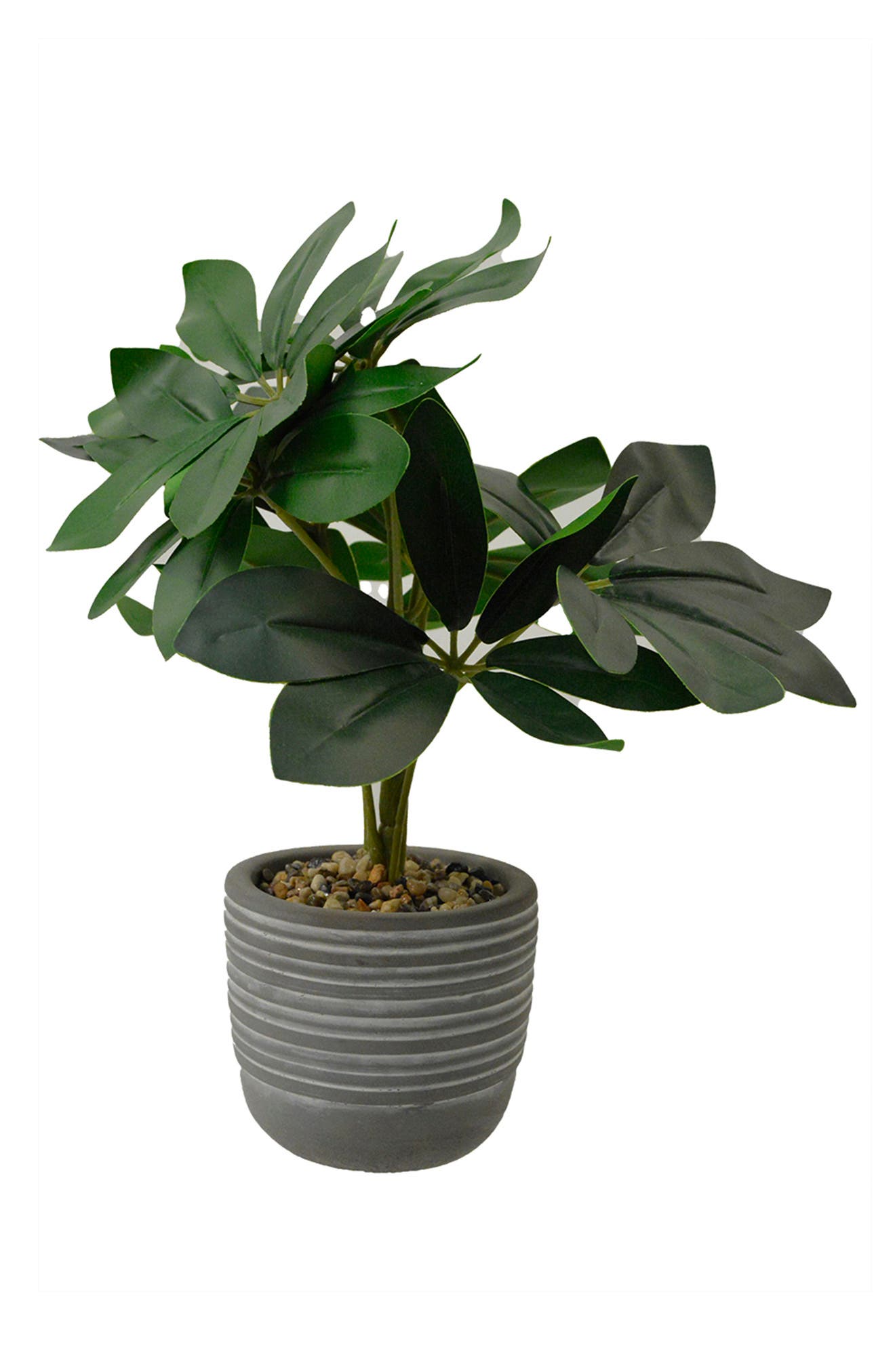 Concepts in Time Round Cement Faux Plant Pot | Nordstromrack