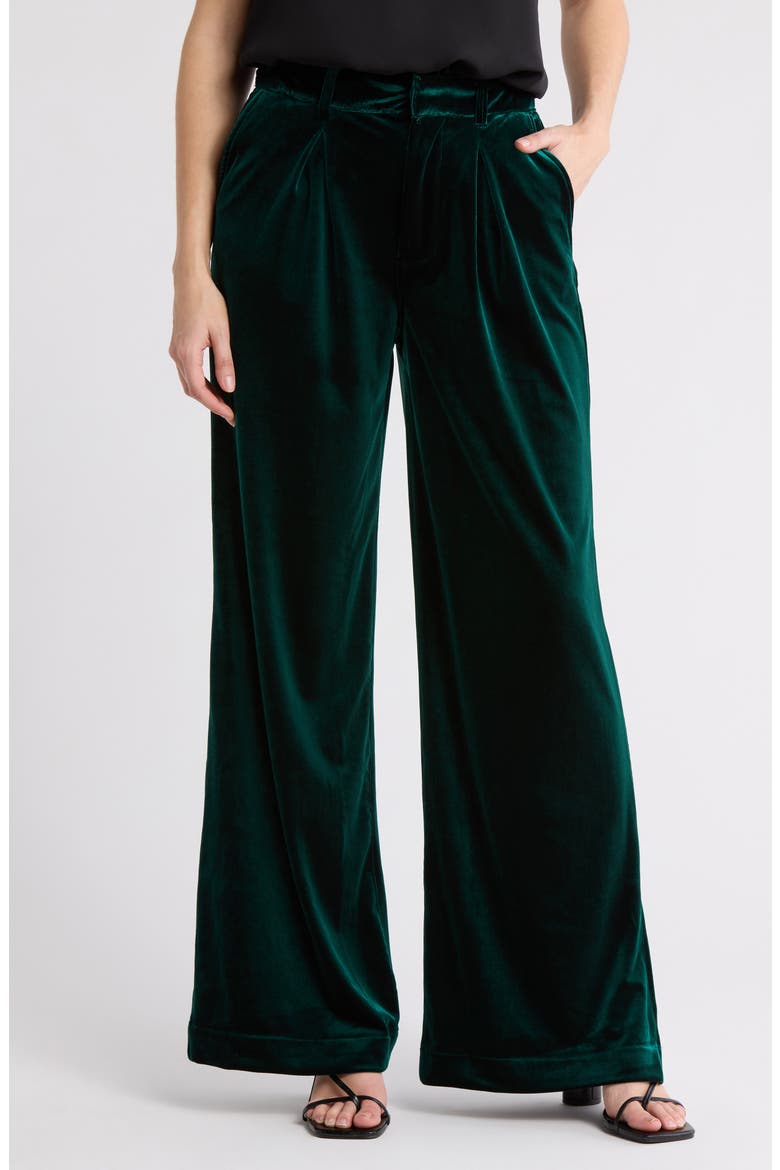 BLANKNYC Pleated Velvet Wide Leg Pants (Women) | Nordstromrack