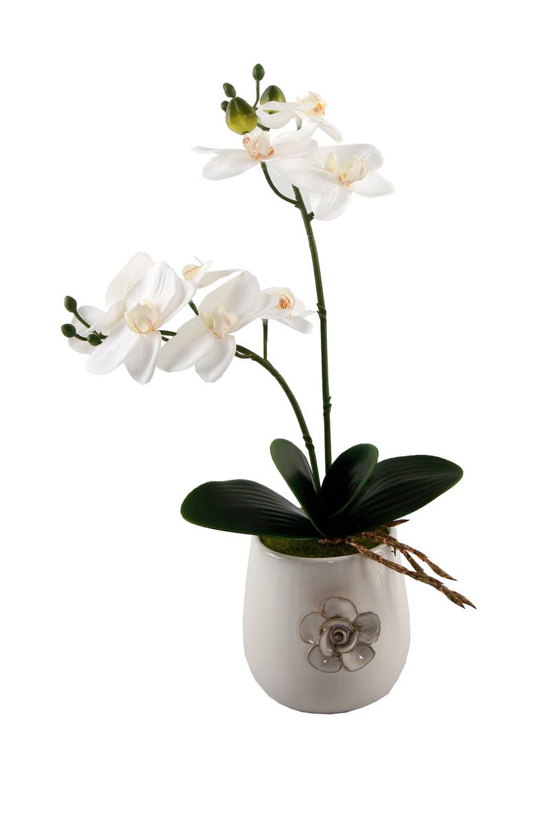 FLORA BUNDA 15" Real-Touch Orchid in Ceramic Vase | Nordstromrack