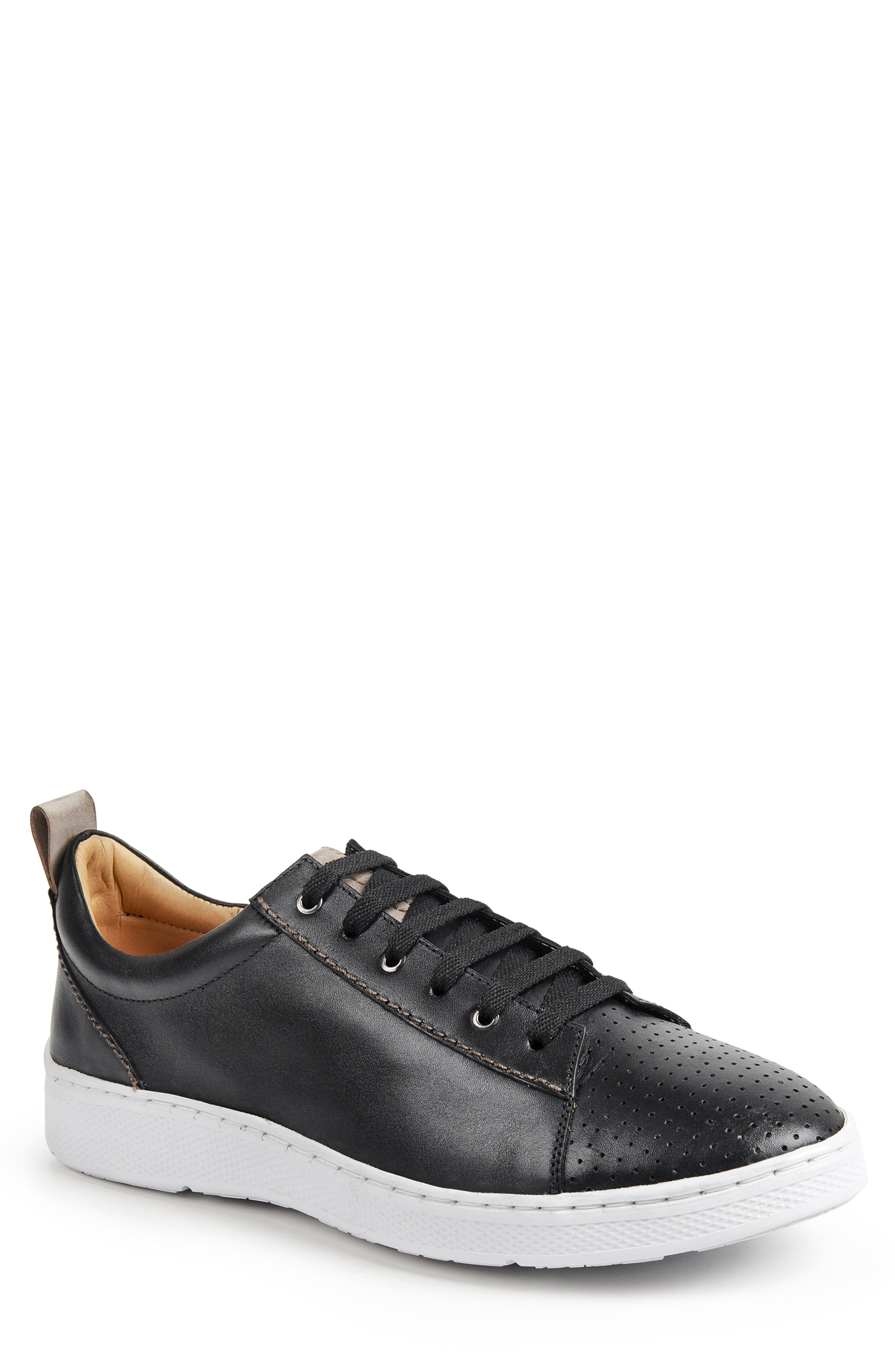 Sandro Moscoloni Myron Perforated Toe Lace-Up Sneaker | Nordstromrack