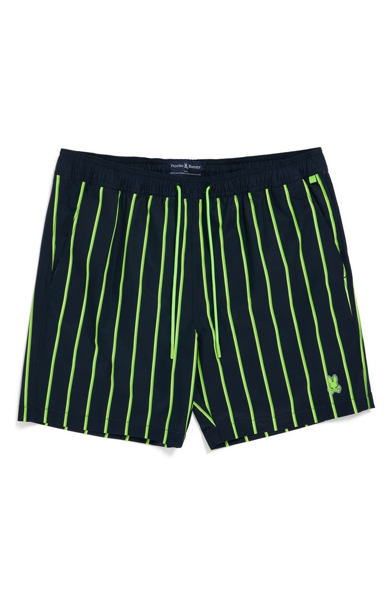 Psycho Bunny Alton Stripe Swim Trunks | Nordstromrack