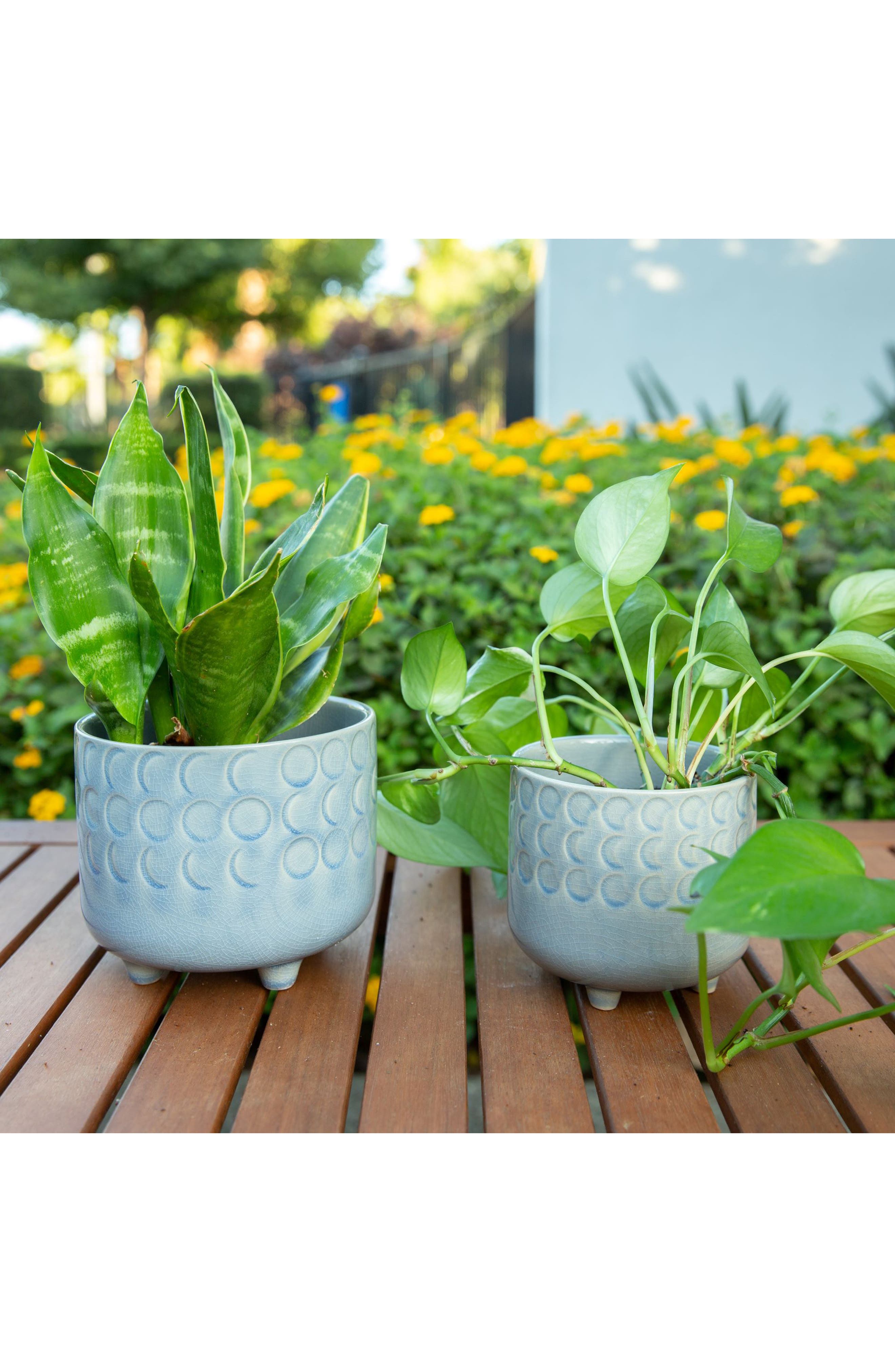 FLORA BUNDA Moon Phase 2-Piece Pot Set | Nordstromrack