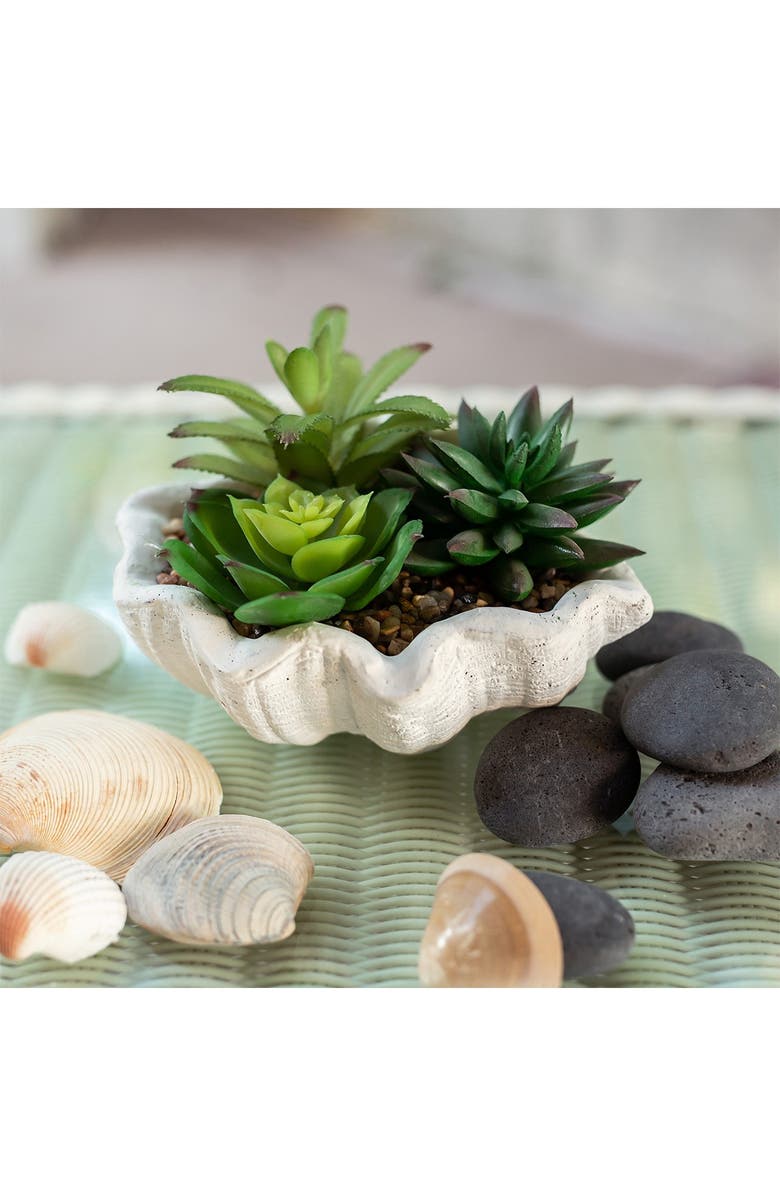 FLORA BUNDA White Faux Succulent Cement Shell Planter | Nordstromrack
