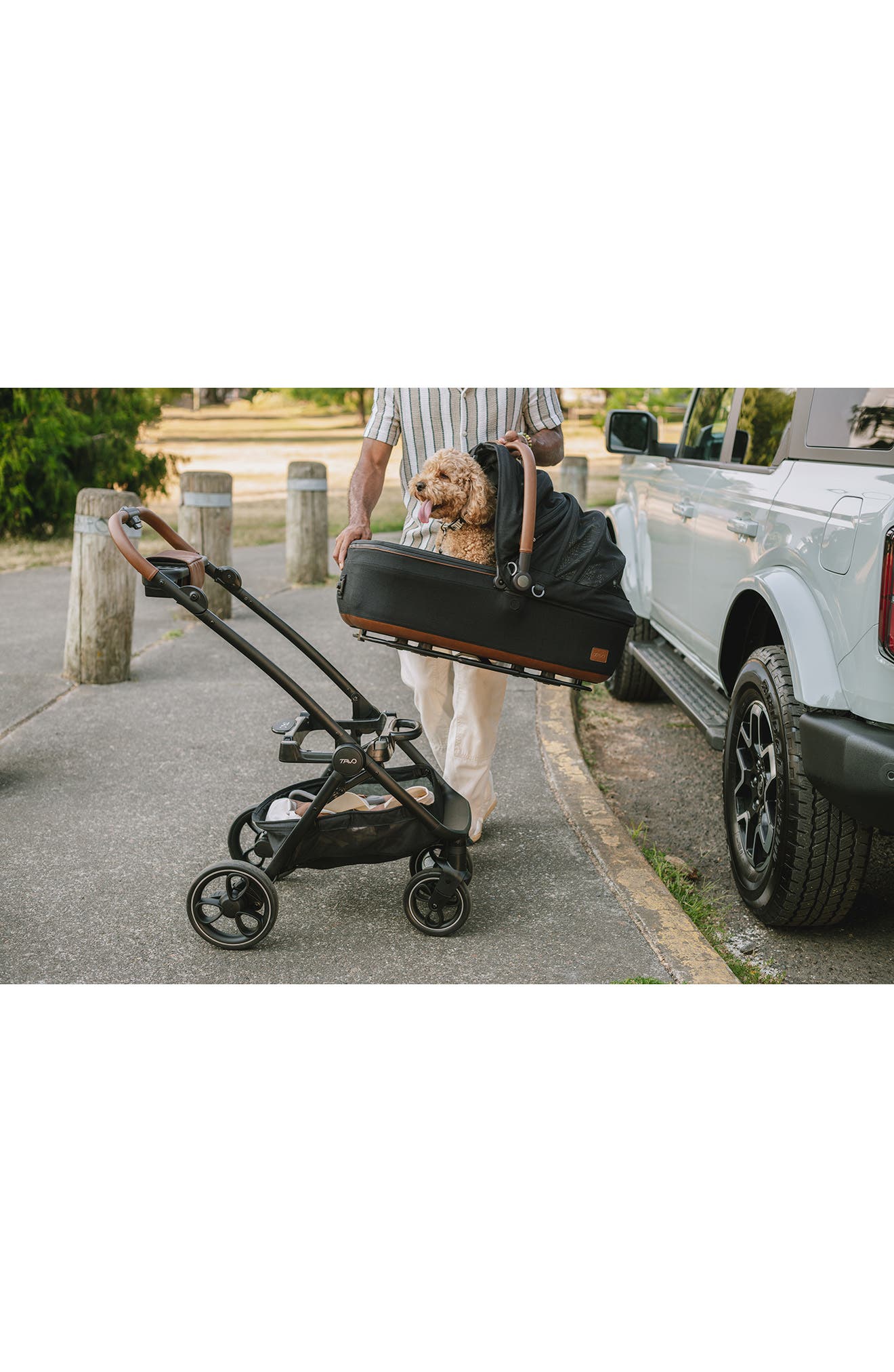 TAVO PETS Maeve™ Medium Rigid 3-in-1 Pet Car Seat & Stroller | Nordstrom