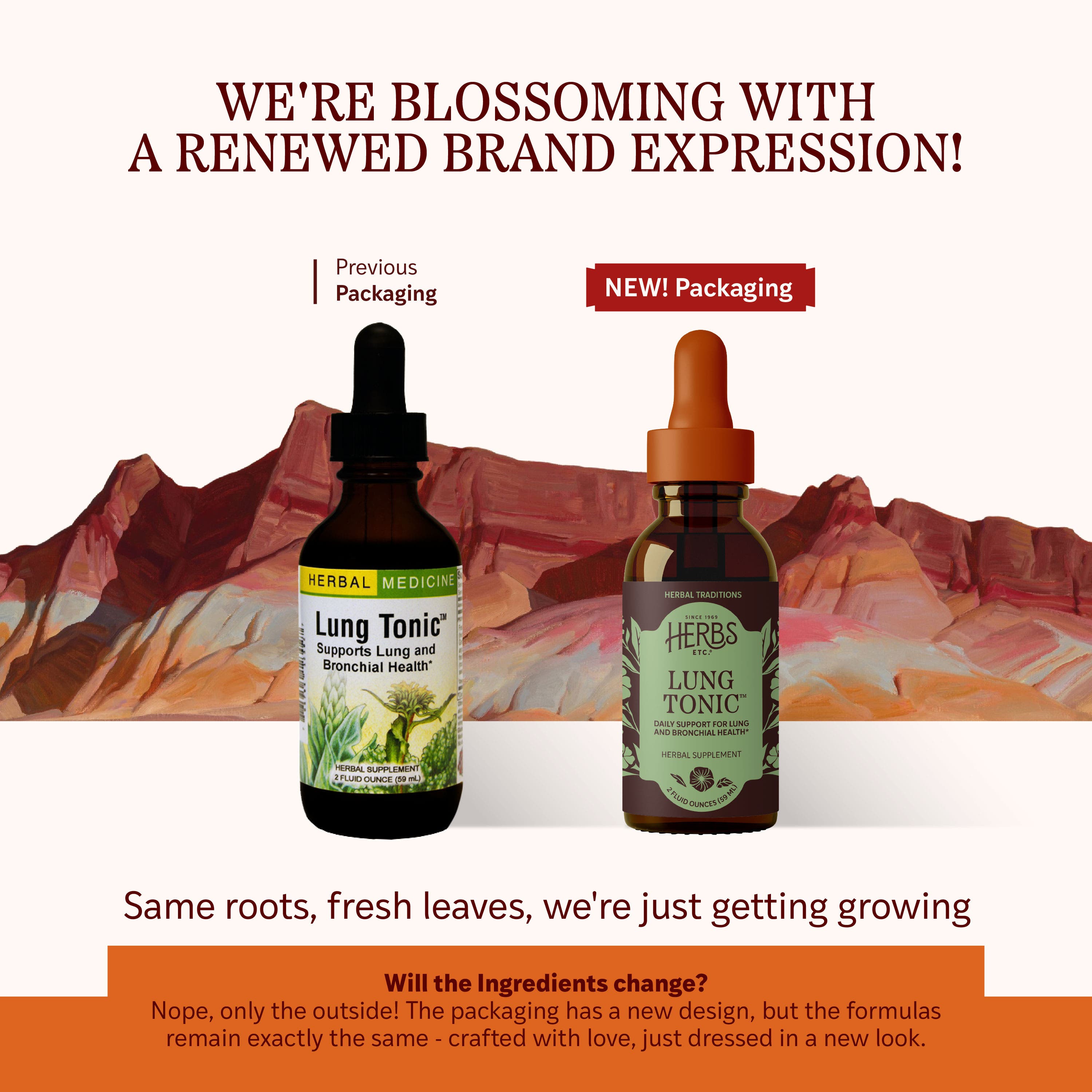 Herbs Etc. Lung Tonic 2 oz | Nordstrom
