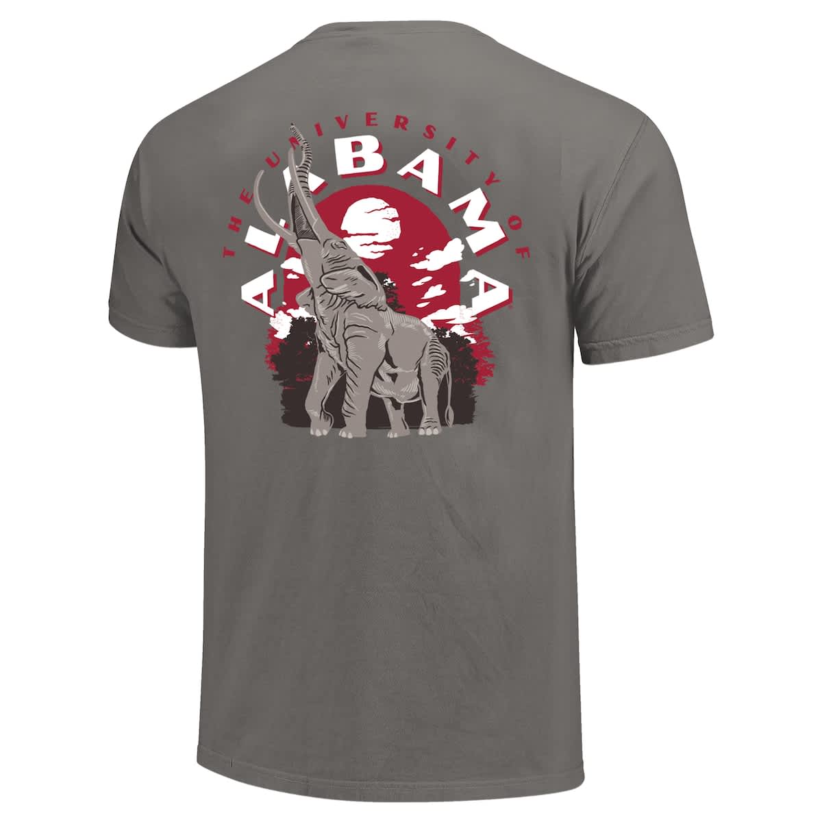 IMAGE ONE Men's Gray Alabama Crimson Tide Comfort Colors Team Statue T ...