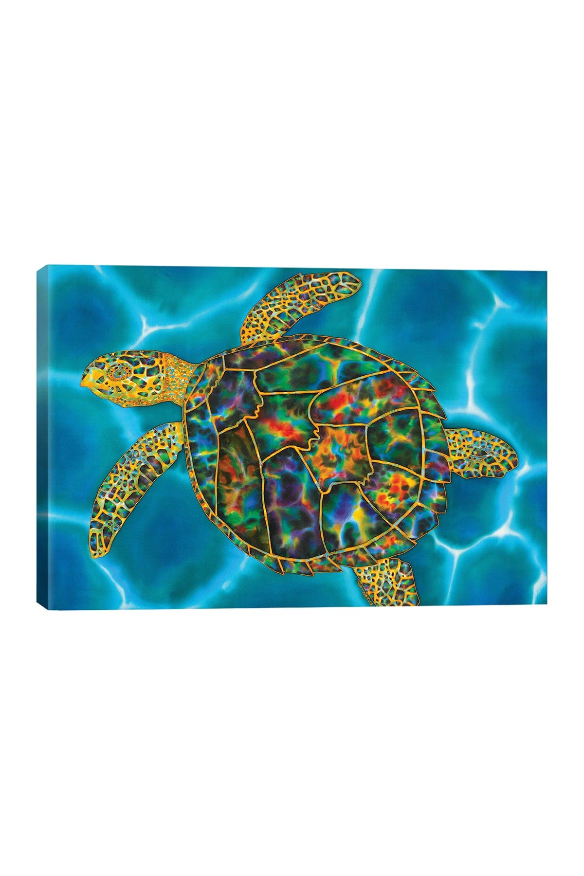 iCanvas Rainbow Opal Turtle by Daniel Jean-Baptiste Wall Art - 40" x 26 ...