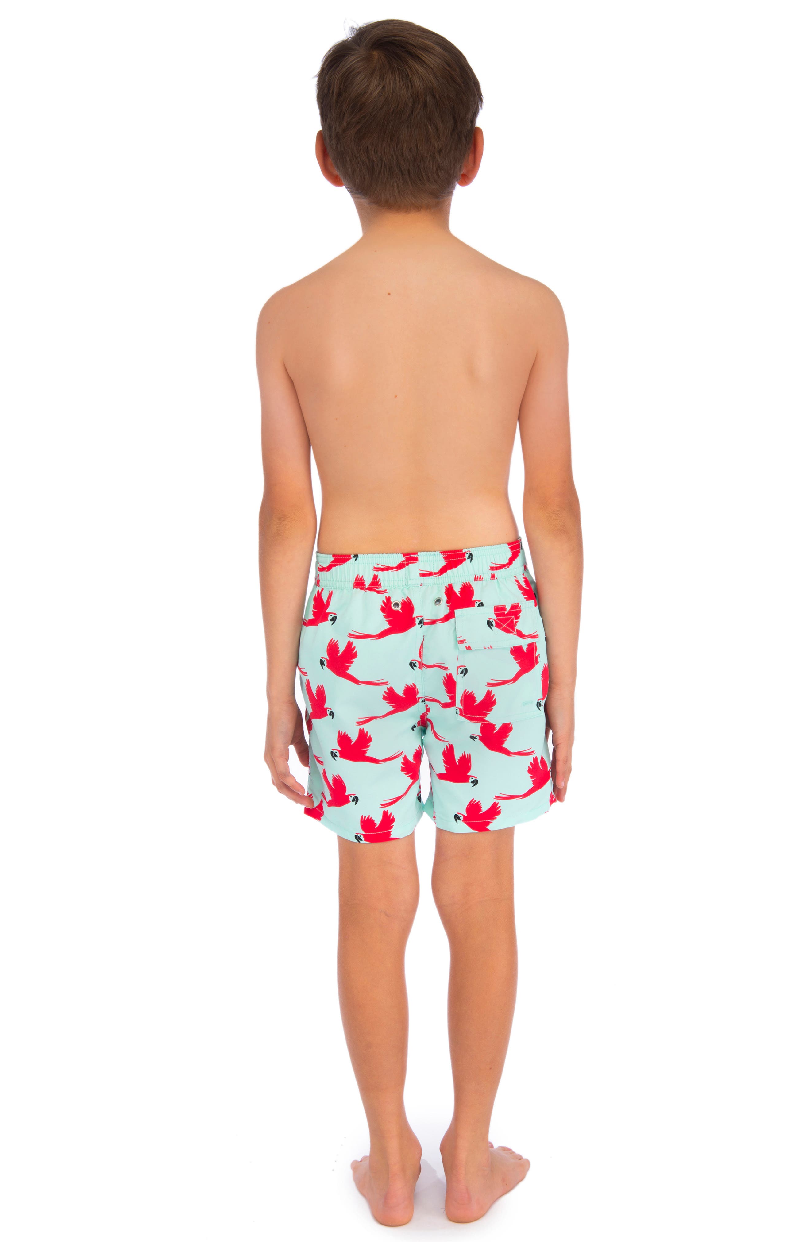 Tom & Teddy Parrot Swim Trunks | Nordstromrack