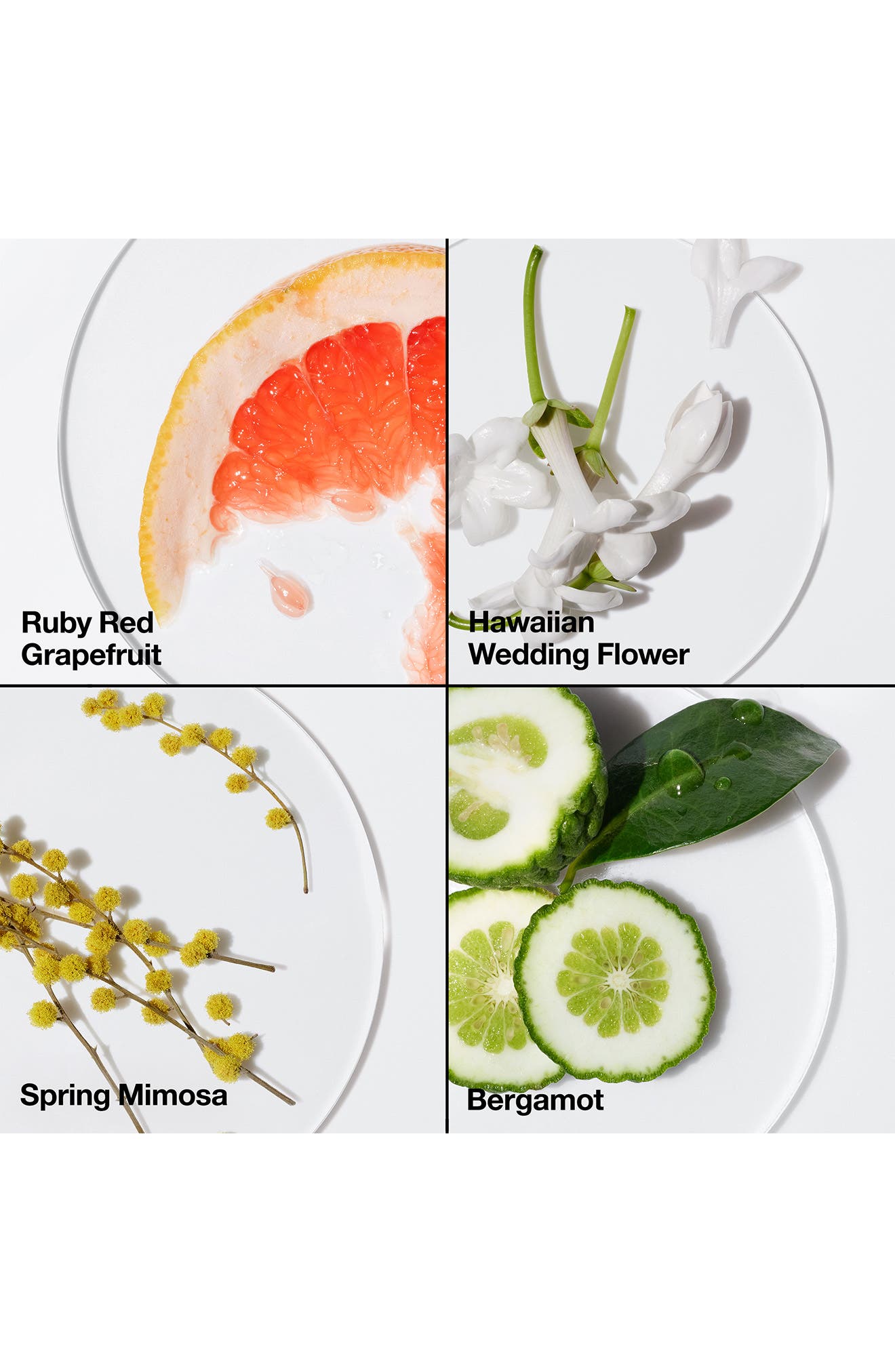 Clinique Perfectly Happy Fragrance & Lip Gloss Set (Limited Edition ...