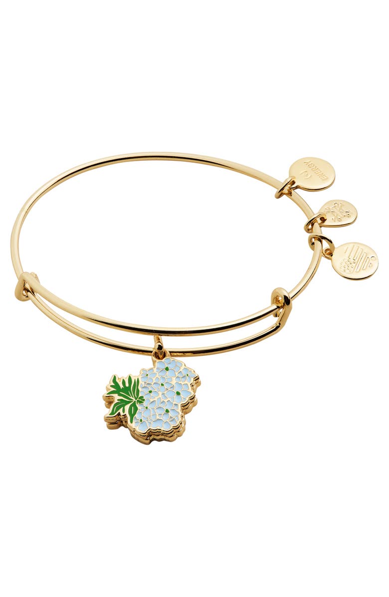 Alex and Ani Delphinium Sentimental Slider Charm Bangle Bracelet ...