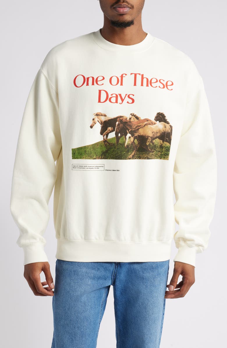 ONE OF THESE DAYS Wild Horses Graphic Sweatshirt | Nordstromrack