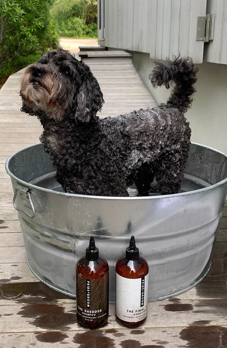 PRIDE+GROOM The Shedder Dog Shampoo | Nordstrom