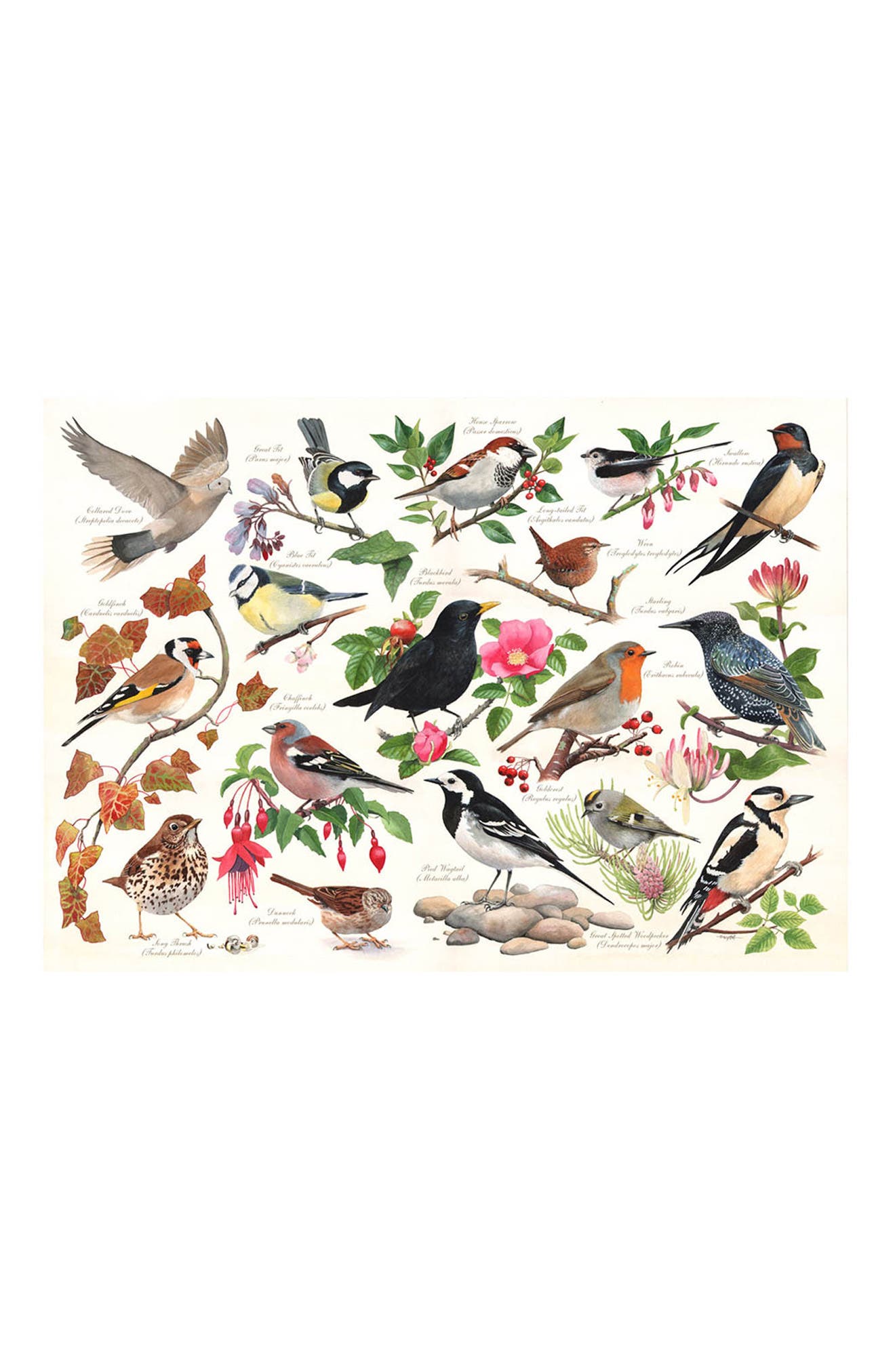The House of Puzzles Birds in My Garden 1,000-Piece Jigsaw Puzzle ...
