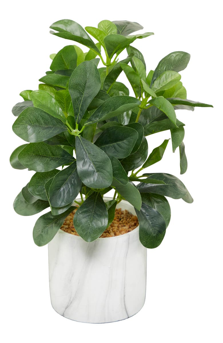 Novogratz Artificial Potted Plant | Nordstromrack