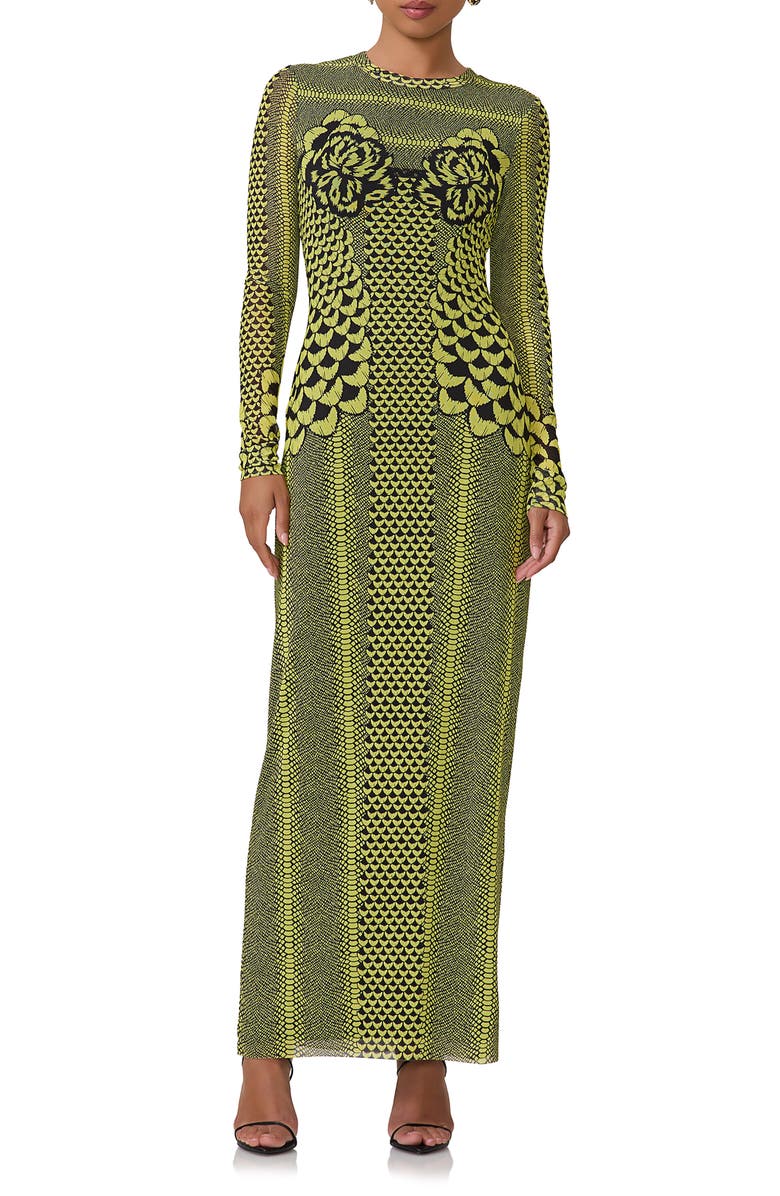 AFRM Didi Long Sleeve Mesh Maxi Dress | Nordstromrack