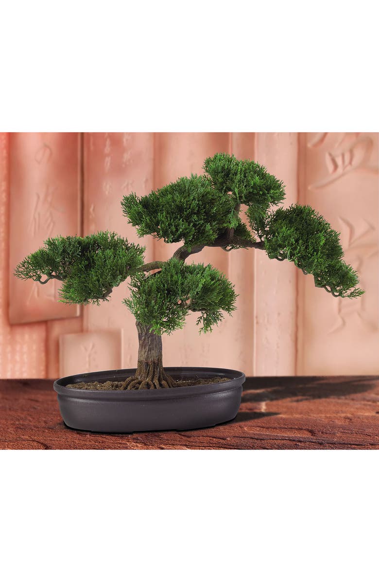 NEARLY NATURAL 16” Cedar Bonsai Tree | Nordstromrack