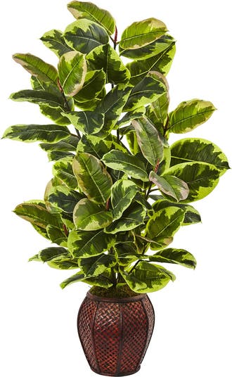 NEARLY NATURAL Rubber Plant with Planter | Nordstromrack