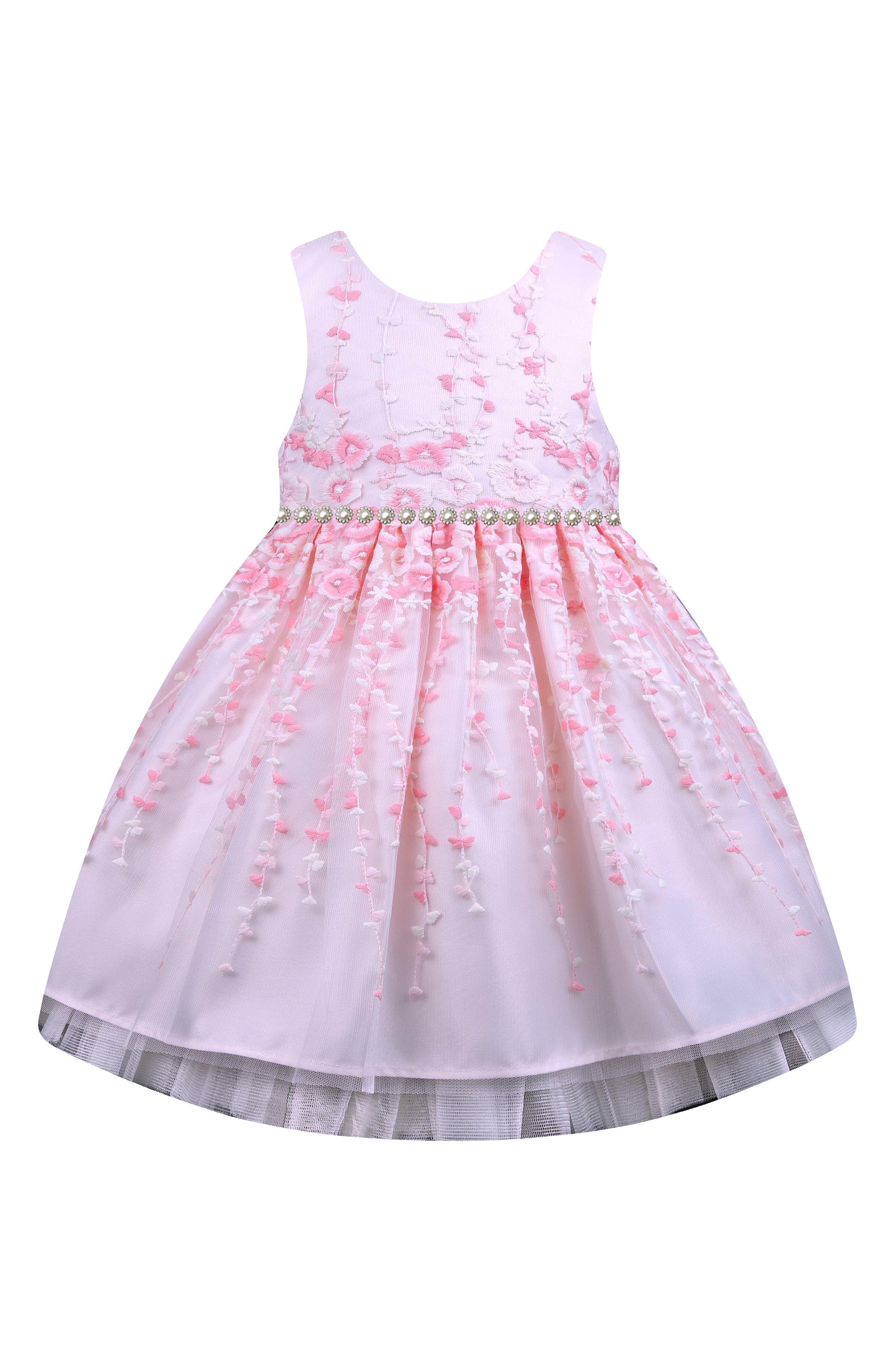 AMERICAN PRINCESS Kids' Embroidered Special Occasion Dress | Nordstromrack