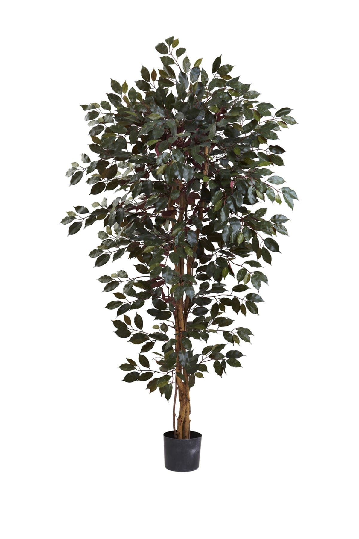 NEARLY NATURAL Green 6' Capensia Ficus Tree | Nordstromrack