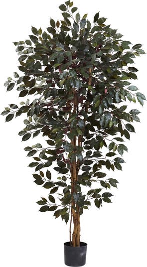 NEARLY NATURAL Green 6' Capensia Ficus Tree | Nordstromrack