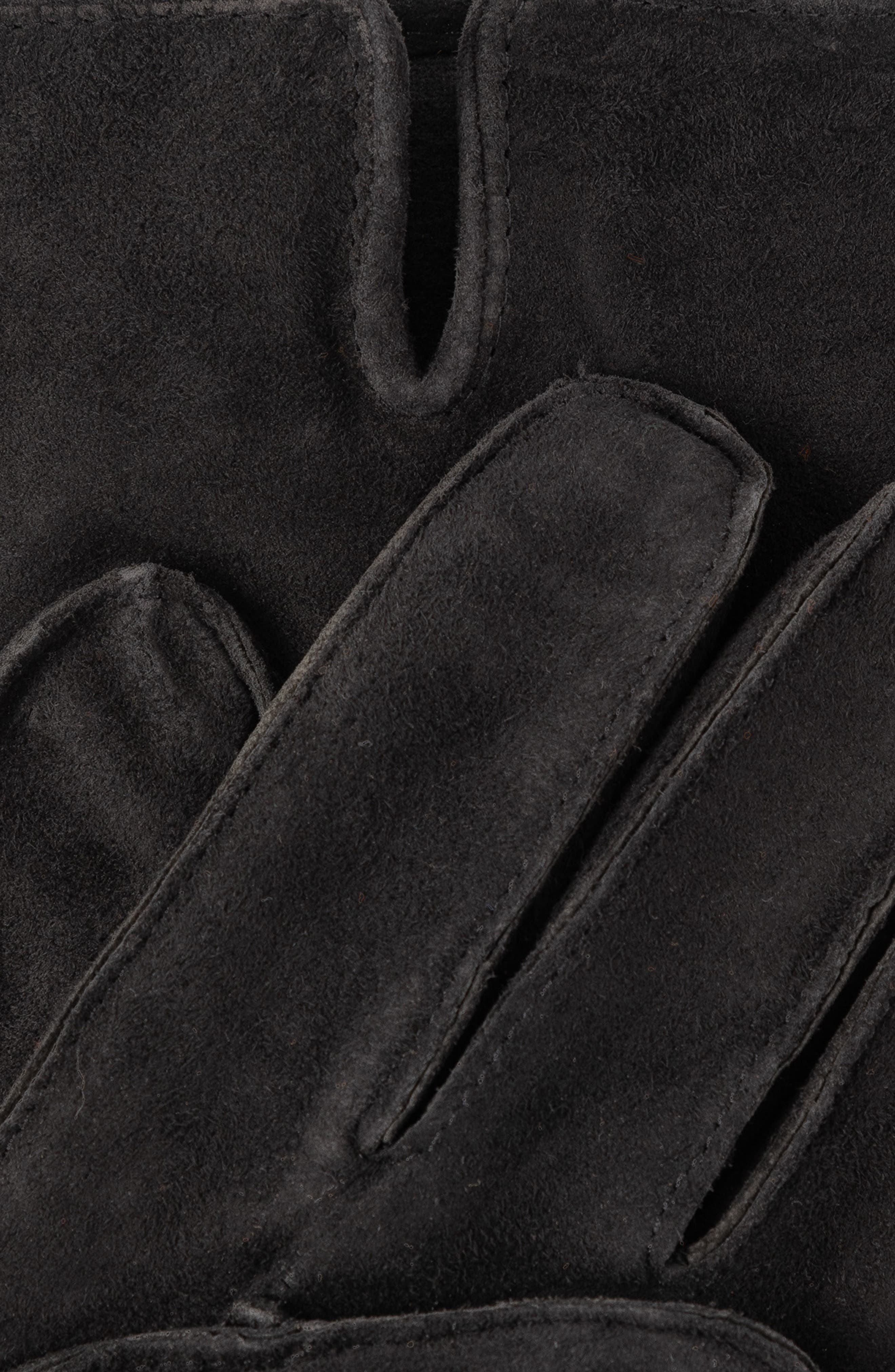 Polo Ralph Lauren Everyday Suede Glove | Nordstrom