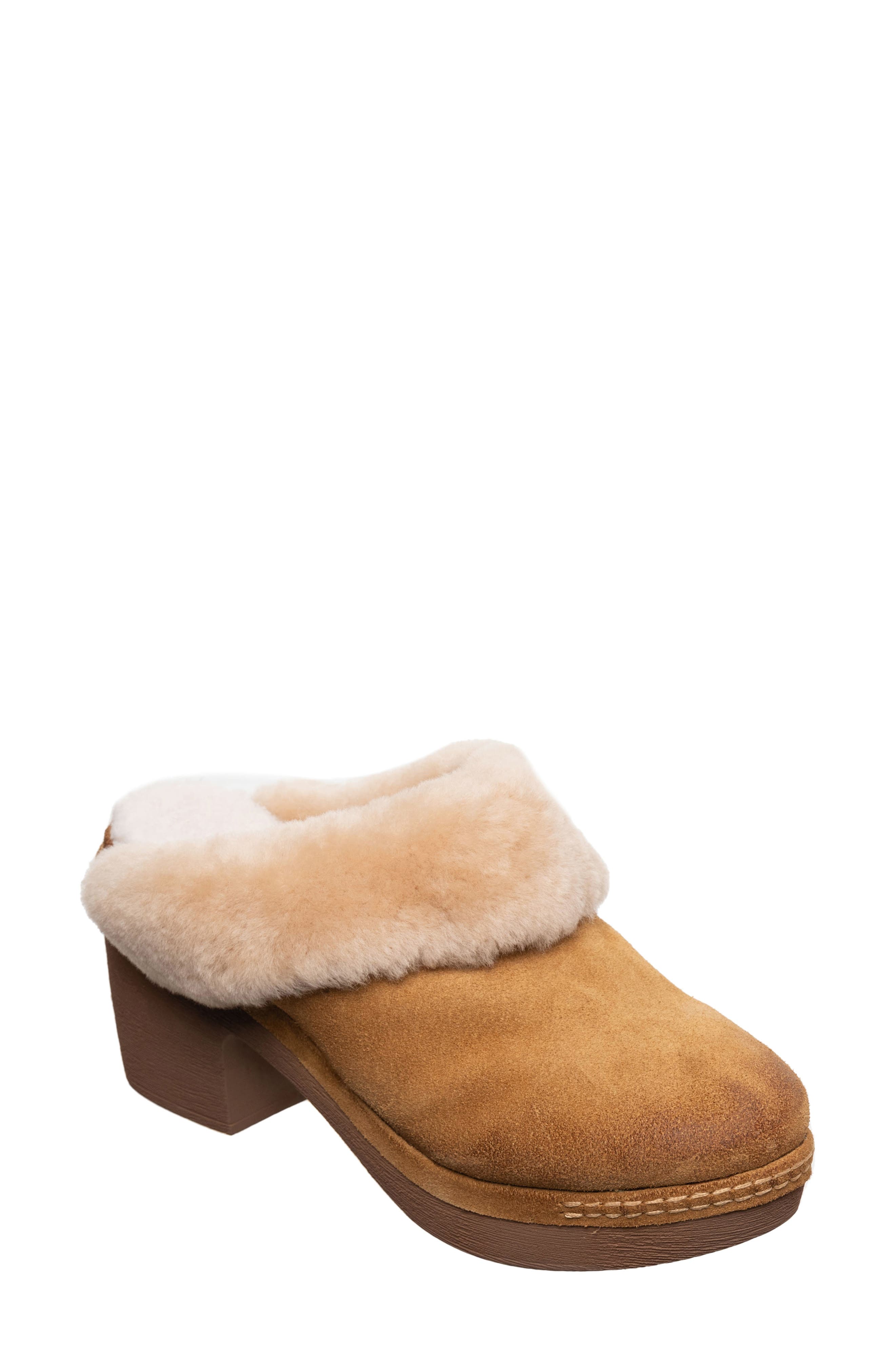 ANTELOPE Sera Faux Fur Lined Clog (Women) | Nordstromrack