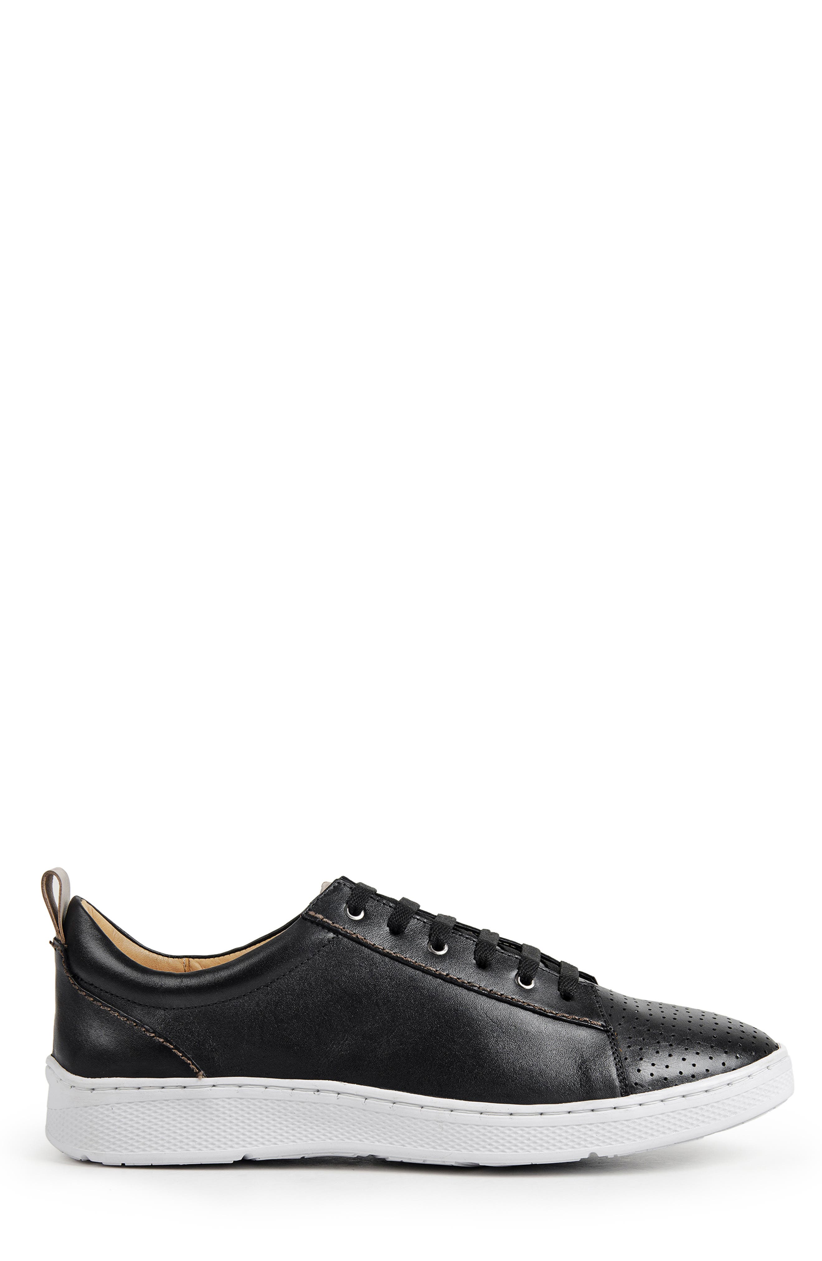 Sandro Moscoloni Myron Perforated Toe Lace-Up Sneaker | Nordstromrack