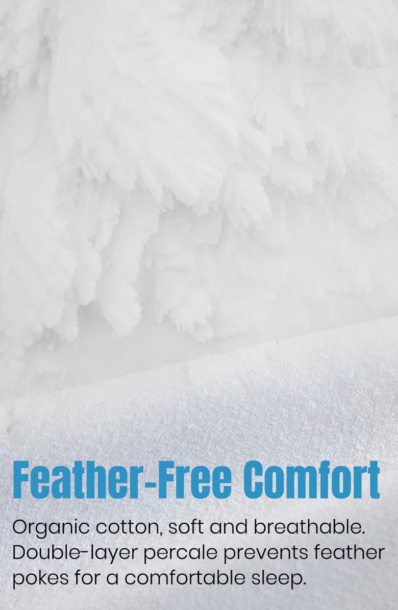 Luxury Home 2-Pack Luxury Feather & Down Fill Pillows | Nordstromrack