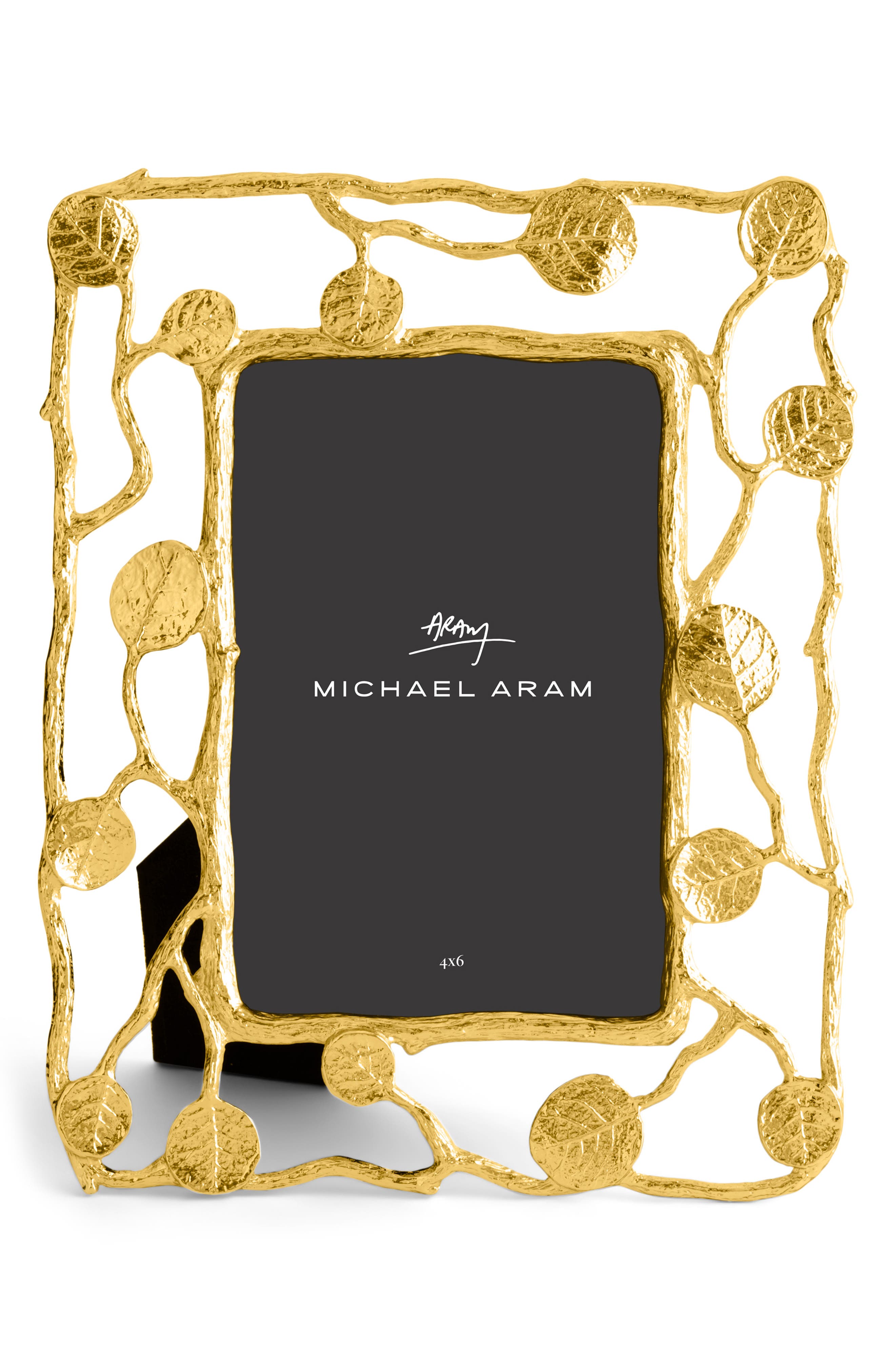 Michael Aram Botanical Leaf Gold-Tone 4" x 6" Photo Frame | Nordstromrack