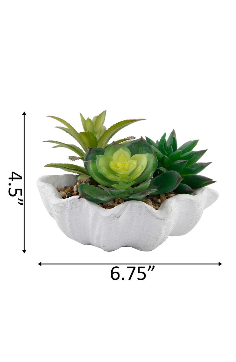 FLORA BUNDA White Faux Succulent Cement Shell Planter | Nordstromrack