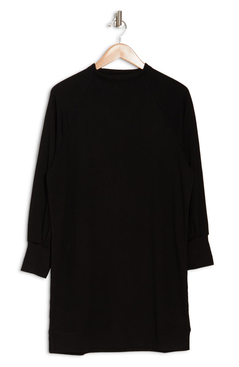 WORKSHOP FOR THE REPUBLIC Long Raglan Sleeve Dress | Nordstromrack