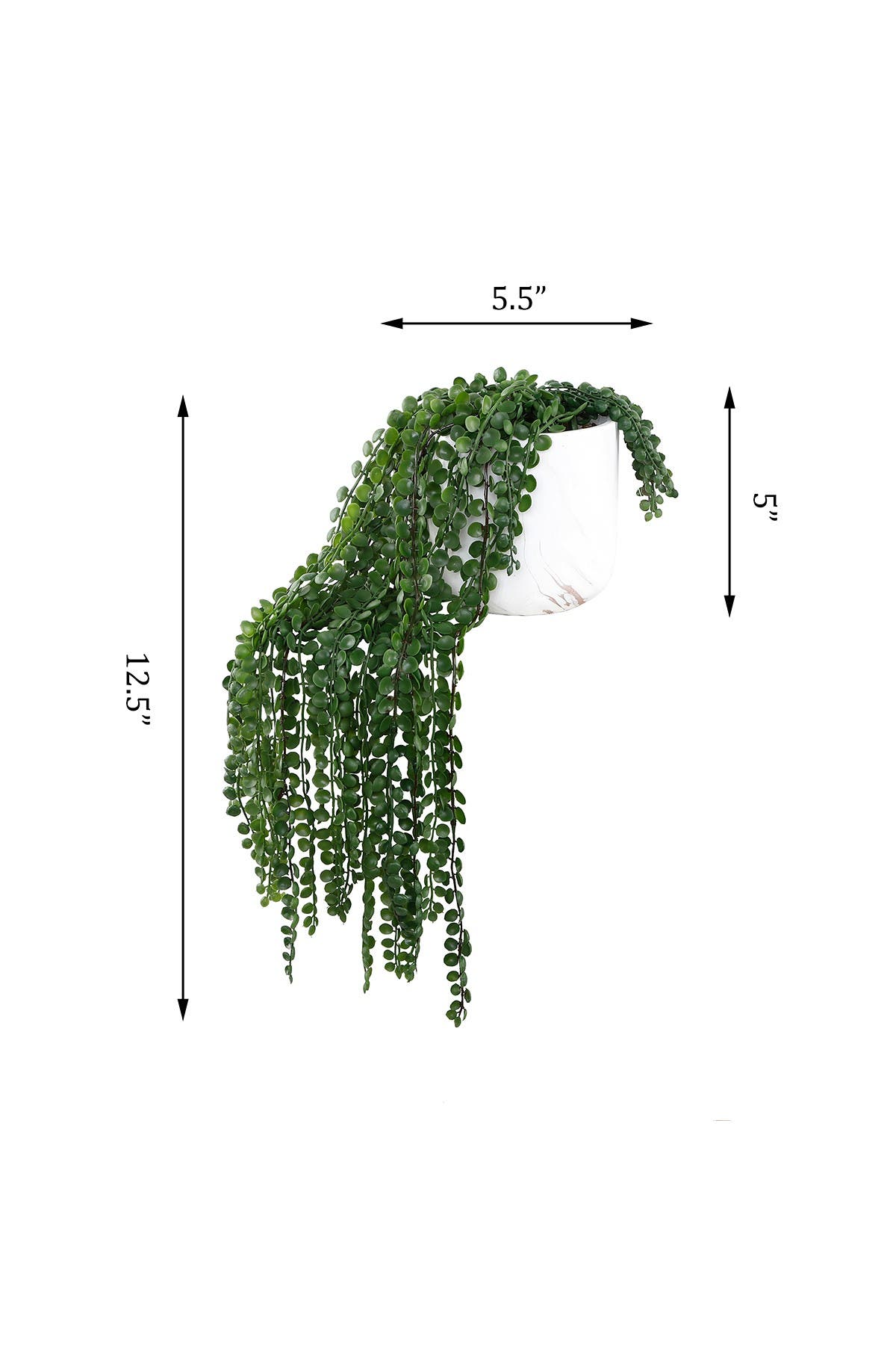 FLORA BUNDA 17.5" String of Peas in 4.75" Marble Gold Finish Cement Pot ...