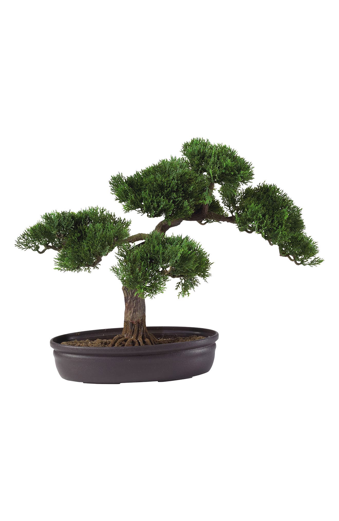 NEARLY NATURAL 16” Cedar Bonsai Tree | Nordstromrack