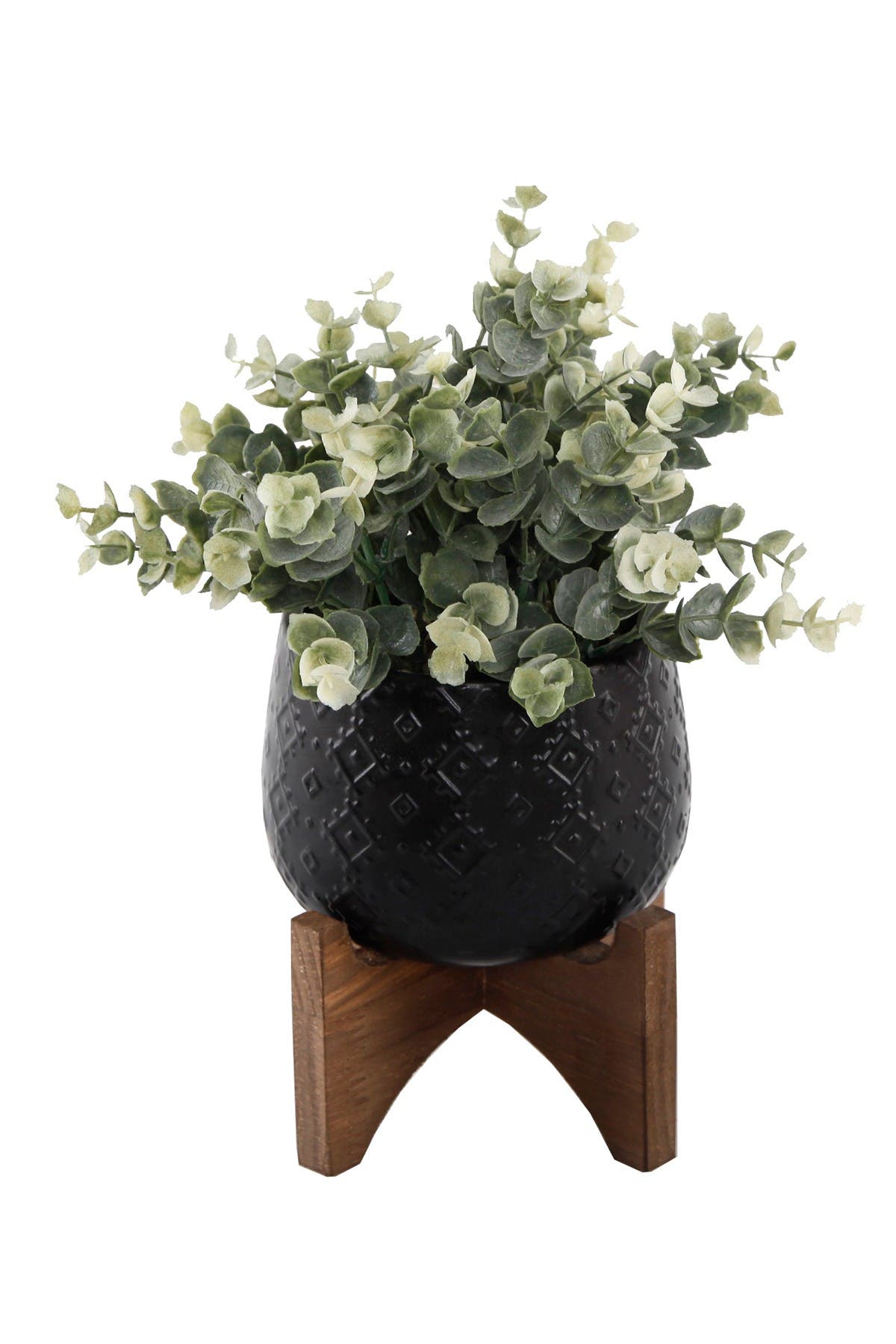 FLORA BUNDA Eucalyptus in 5" Matte Black Ceramic Pot on Wood Stand ...