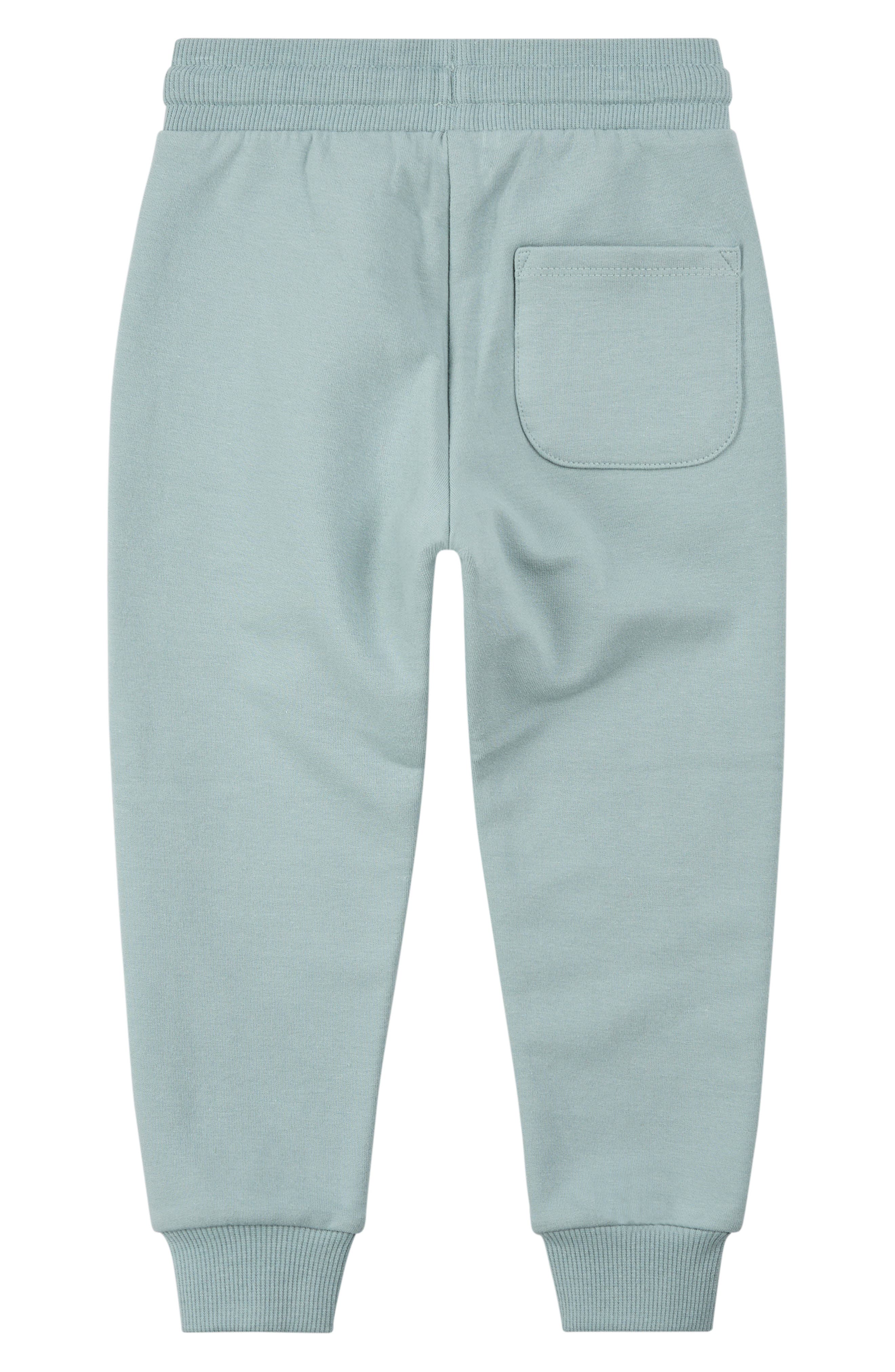 MILES THE LABEL Kids' Slate Blue Fleece Joggers | Nordstrom